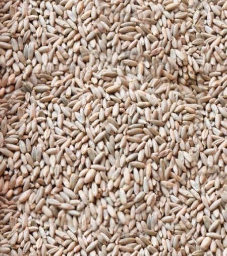 Main Street Feeds – Custom Feeds to Meet Your Needs!